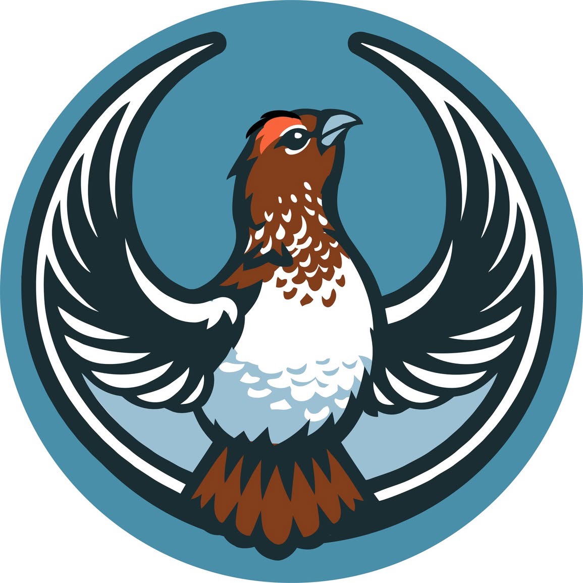 rebel-birds