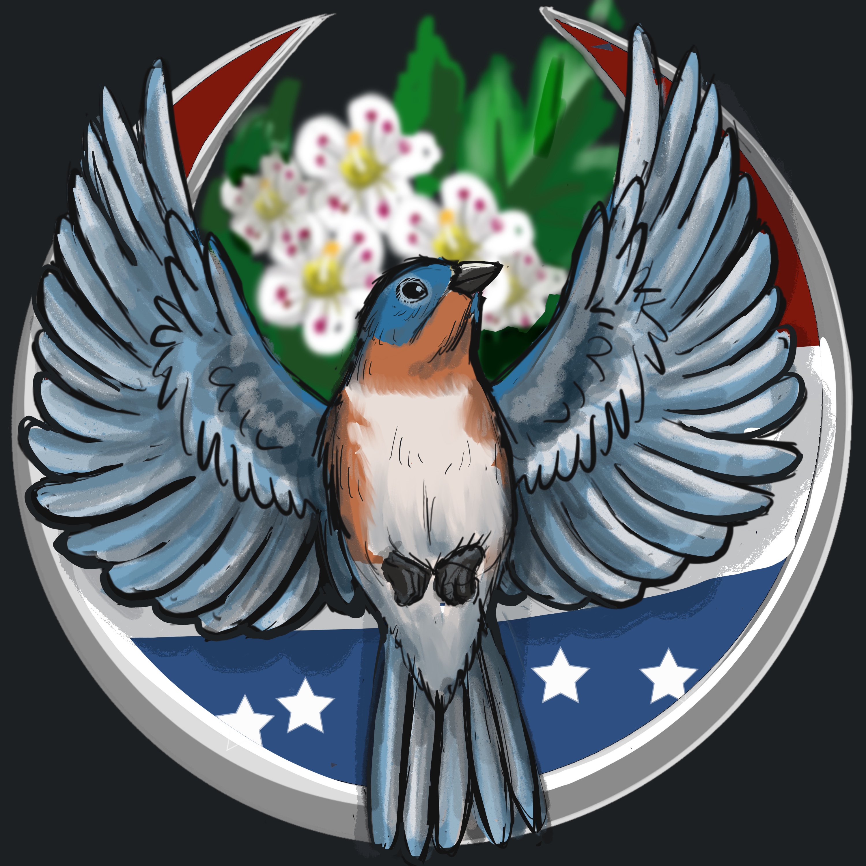 rebel-birds