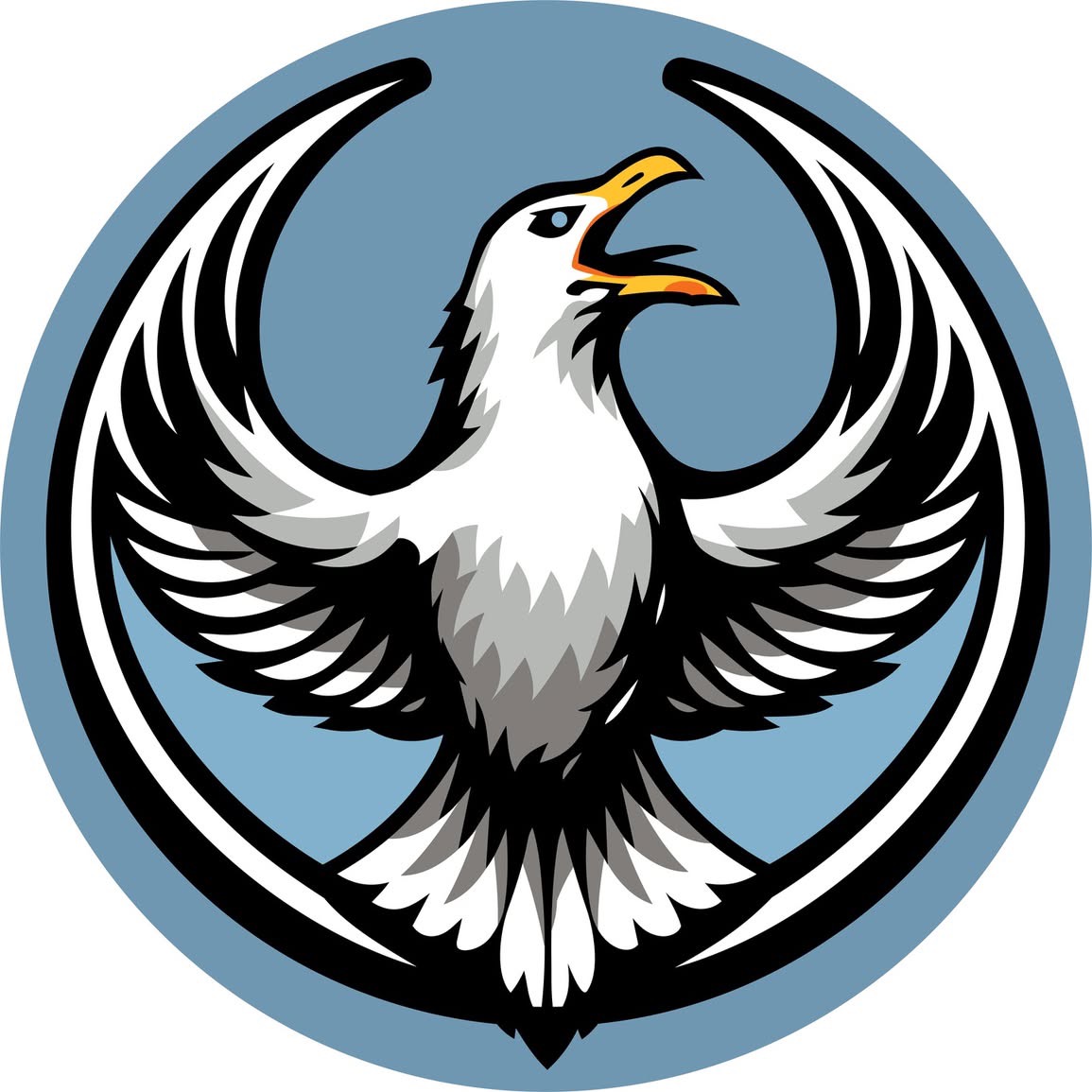 rebel-birds