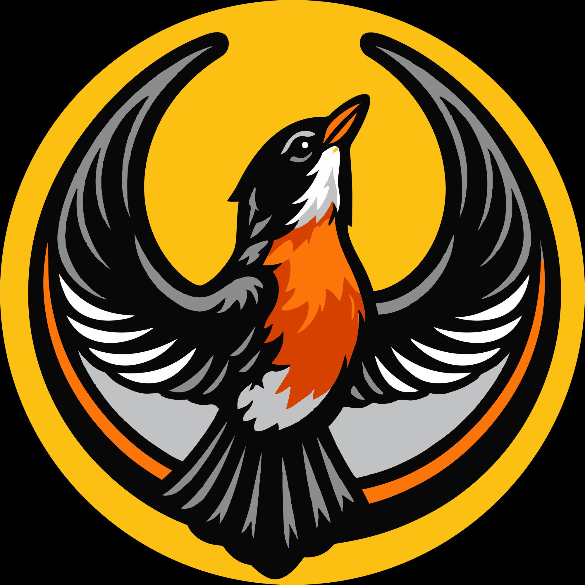 rebel-birds