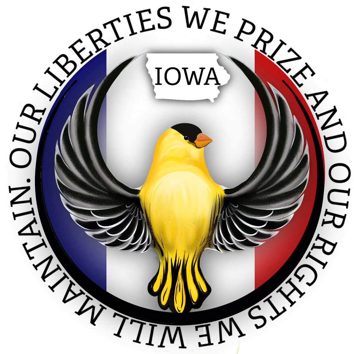 rebel-birds